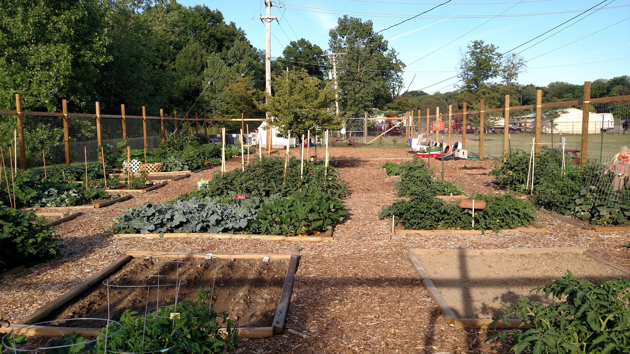 Community Gardens